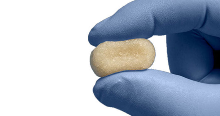 OsteoSelect DBM Putty (74% Bone/Filler) – curasan US-CAN